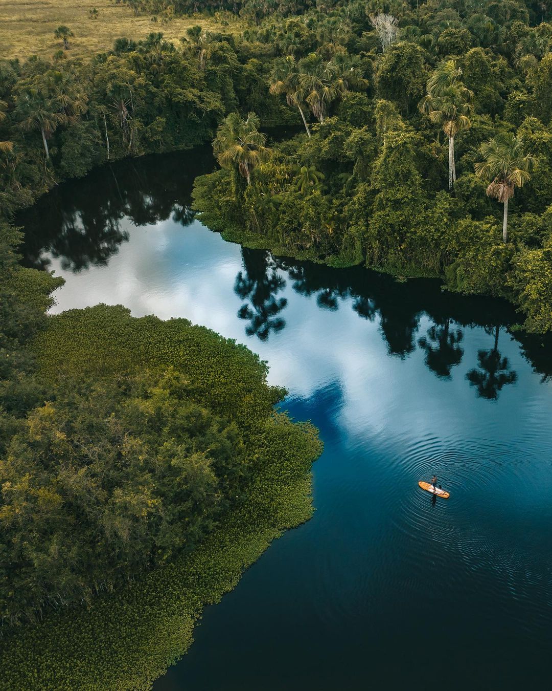 TOUR DELTA DEL ORINOCO - Viajes Indigo