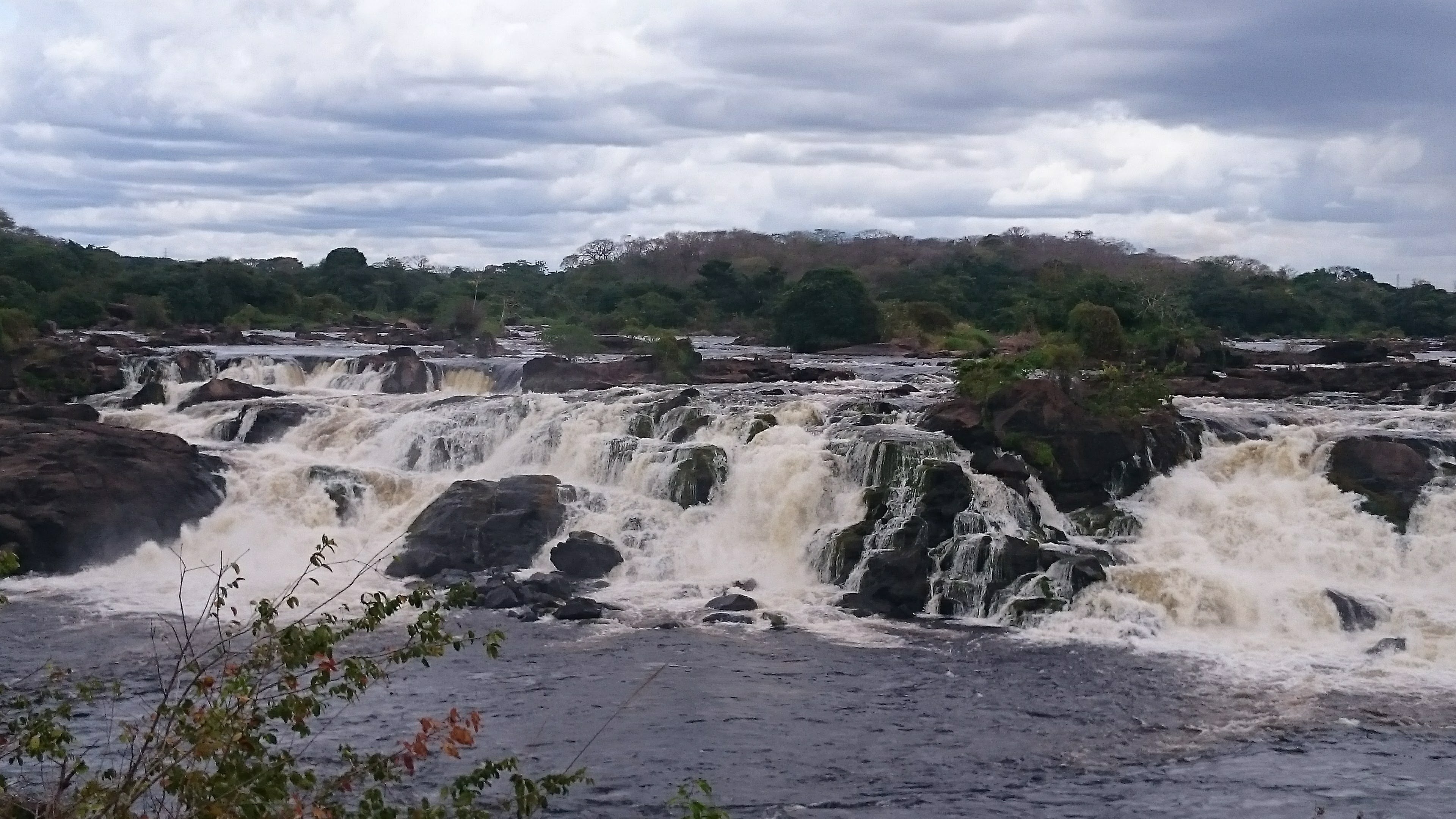 TOUR DELTA DEL ORINOCO - Viajes Indigo