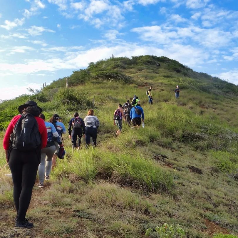RUTA PUNTA NORTE (CABO NEGRO) - Viajes Indigo