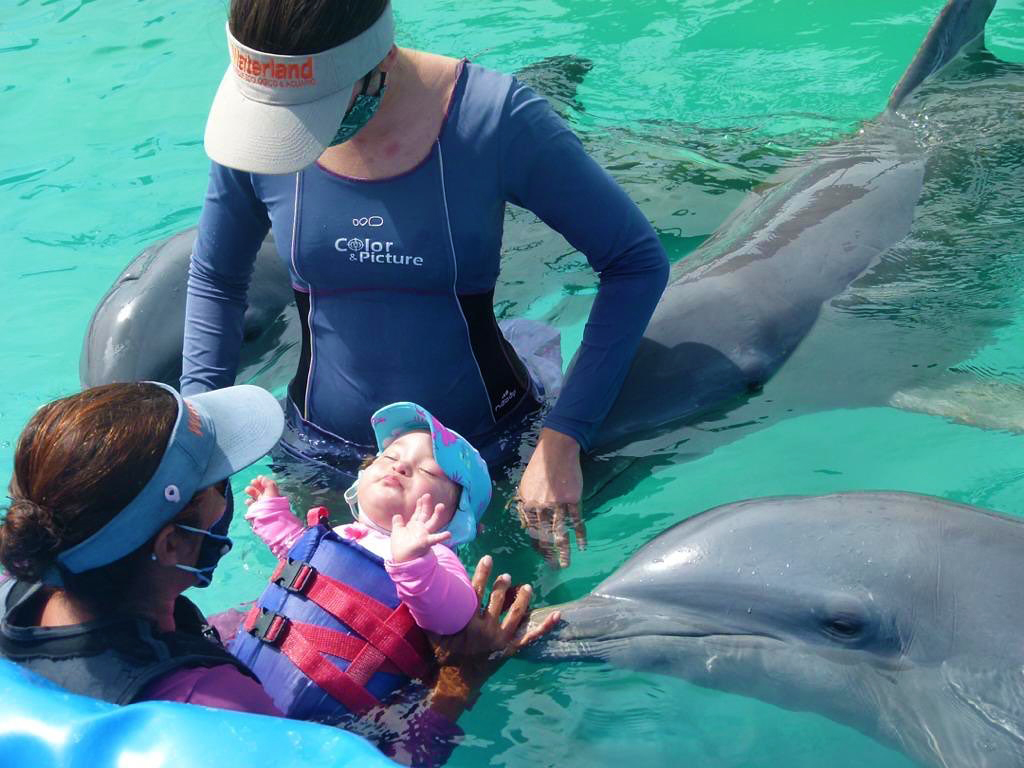 ENCUENTRO CON DELFINES - Viajes Indigo